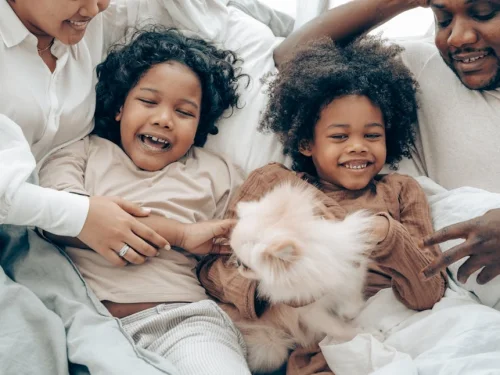 1. Ev Başak Burcu Yaşamınızın Akışındaki Etkisi Nedir?